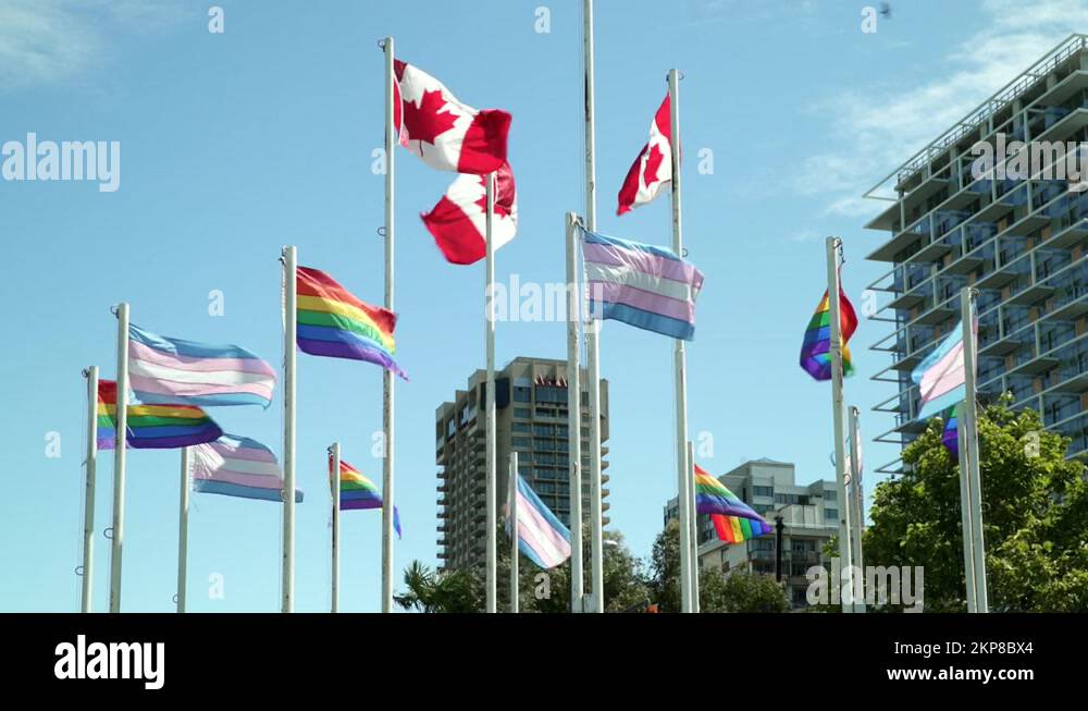 Gay Pride and Trans Pride Flags Vancouver 4K UHD Stock Video Footage ...