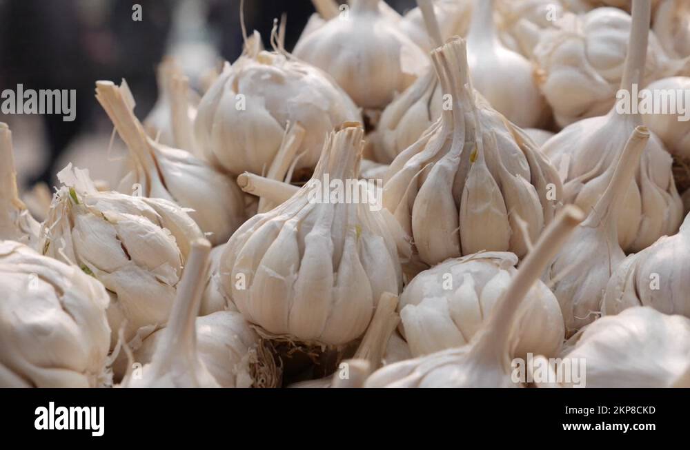 Garlic bunch Stock Videos & Footage - HD and 4K Video Clips - Alamy