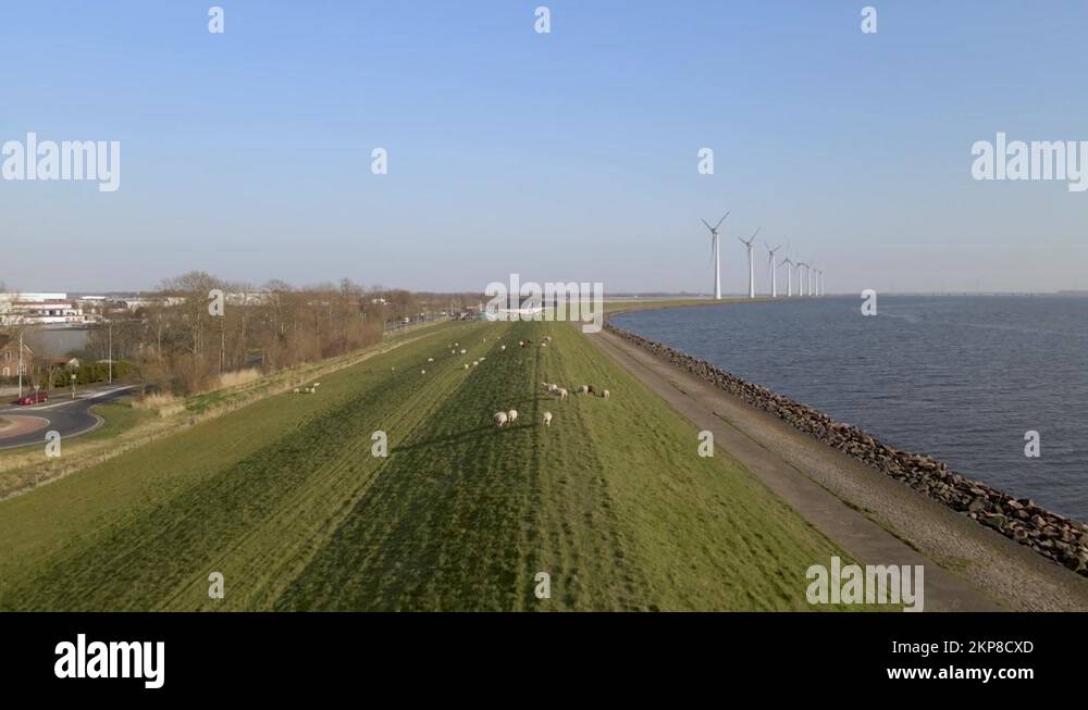 Lake riverside Stock Videos & Footage - HD and 4K Video Clips - Alamy