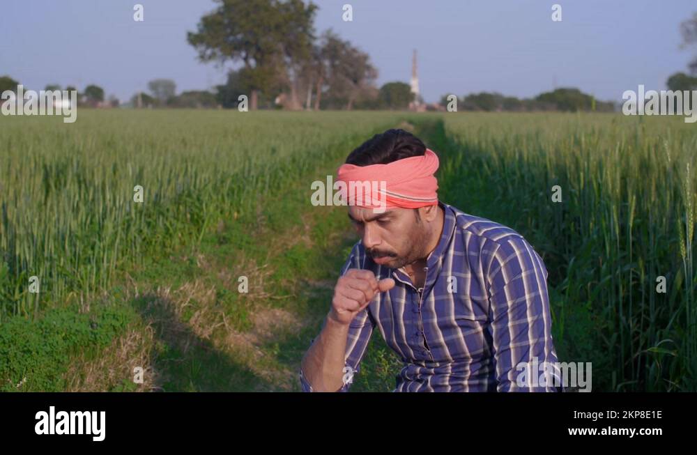 A sick bearded farmer in traditional clothes coughing with one hand on ...