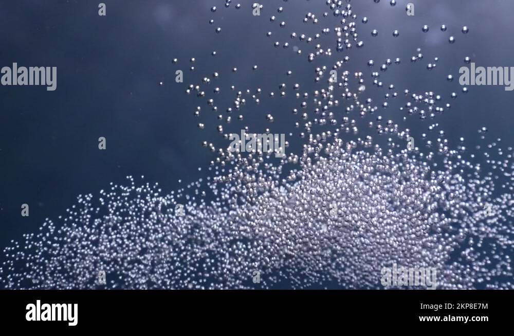 bubble underwater ocean scenery of bubbles for backround textures Stock ...