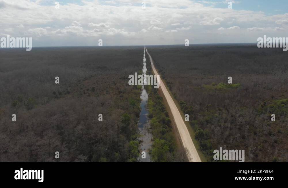 Forestgrasslandstrees Stock Videos & Footage - HD and 4K Video Clips ...