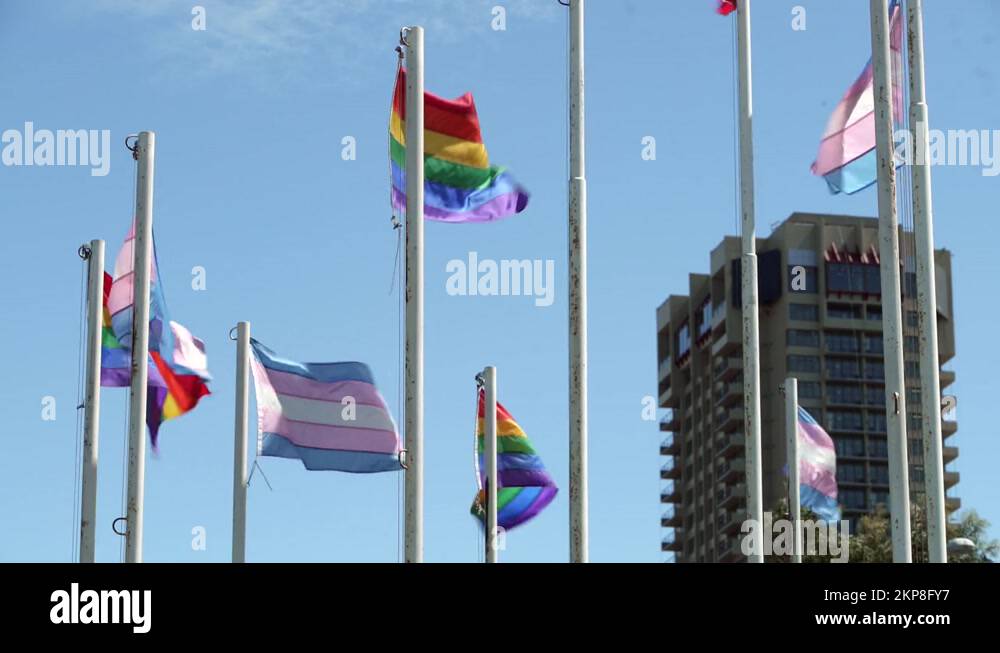 Gay Pride and Trans Pride Flags in the Wind 4K UHD Stock Video Footage ...