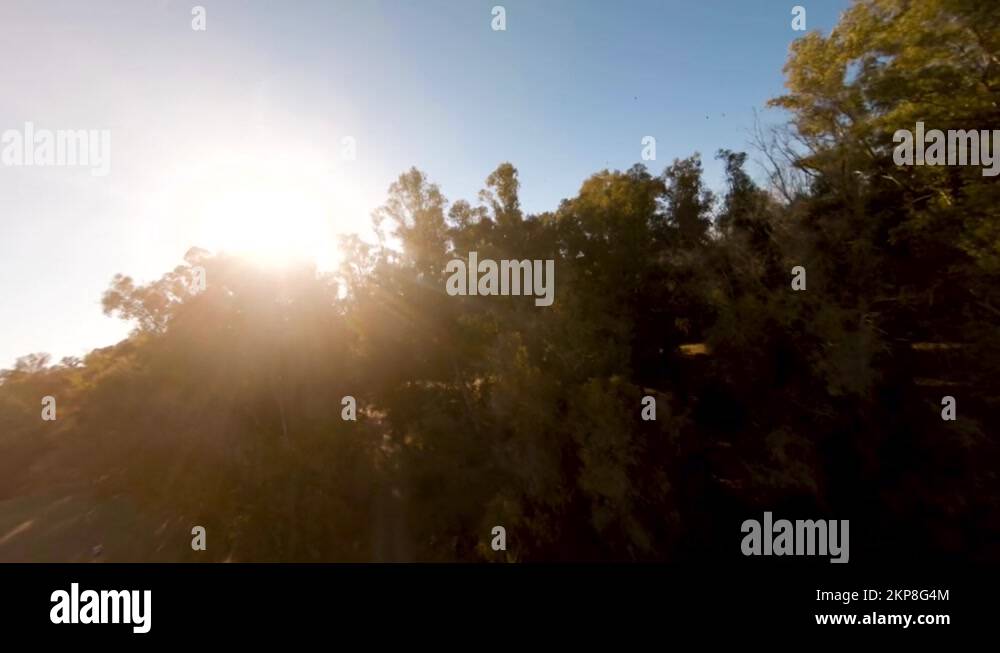 Backlit birds Stock Videos & Footage - HD and 4K Video Clips - Alamy