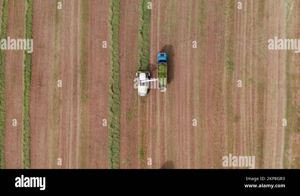 Farming wheat process Stock Videos & Footage - HD and 4K Video Clips ...