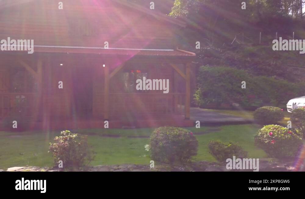 Sun ray on a tree building Stock Videos & Footage - HD and 4K Video ...