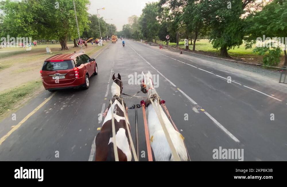 Chariot ride Stock Videos & Footage - HD and 4K Video Clips - Alamy