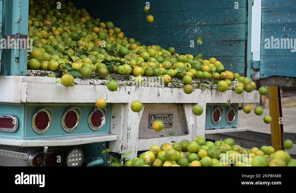 Oranges fruits truck Stock Videos & Footage - HD and 4K Video Clips - Alamy
