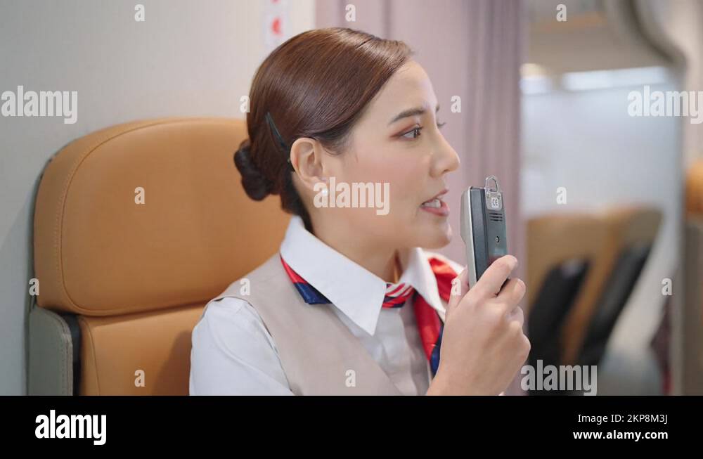 Flight attendants air stewardess Stock Videos & Footage - HD and 4K ...