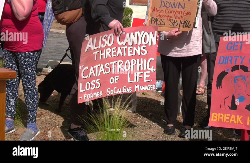 Rally holding signs Stock Videos & Footage - HD and 4K Video Clips - Alamy