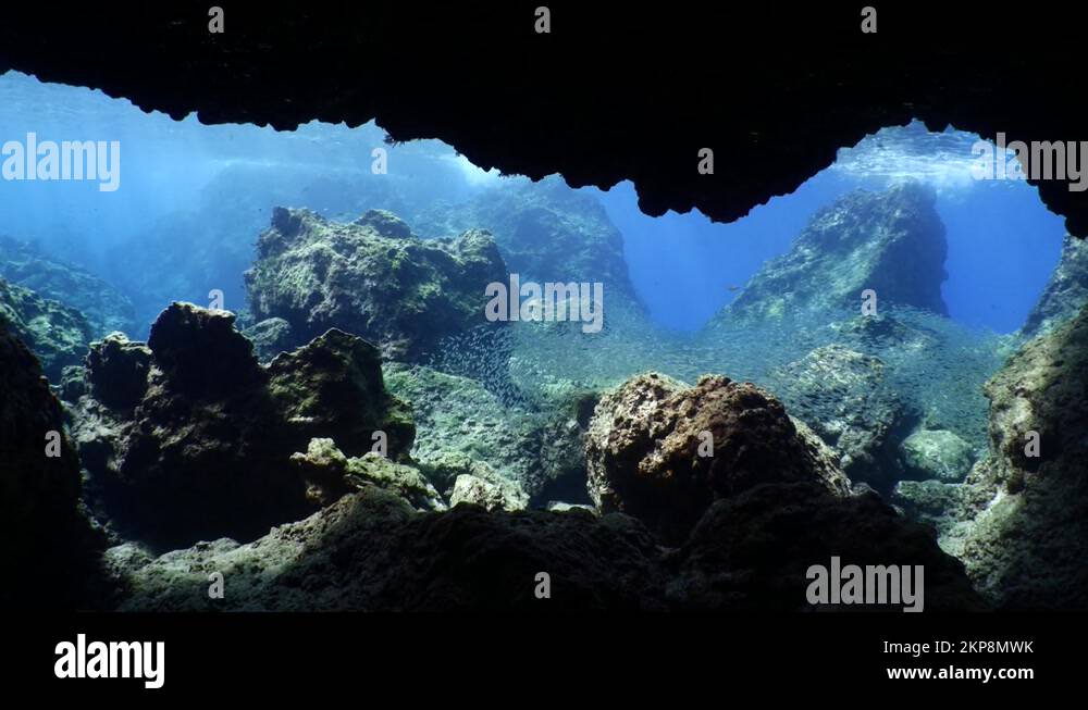 Cave art fish Stock Videos & Footage - HD and 4K Video Clips - Alamy