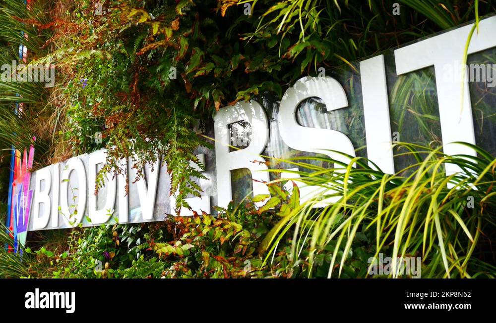 Walled garden biodiversity ecosystem and signage growth on side of ...