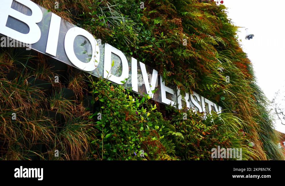 Diversity ecosystem animals Stock Videos & Footage - HD and 4K Video ...