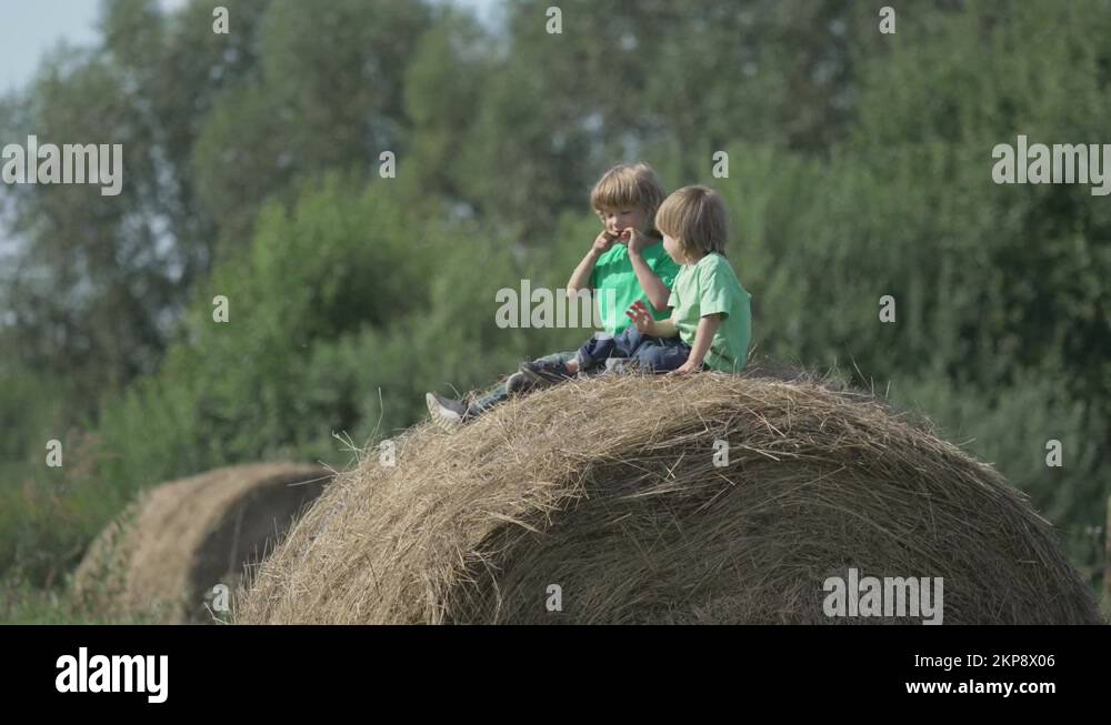 Little cute children playing on straw bale Stock Video Footage - Alamy