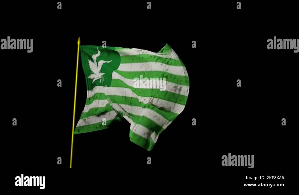 Marijuana leaf flag Stock Videos & Footage - HD and 4K Video Clips - Alamy