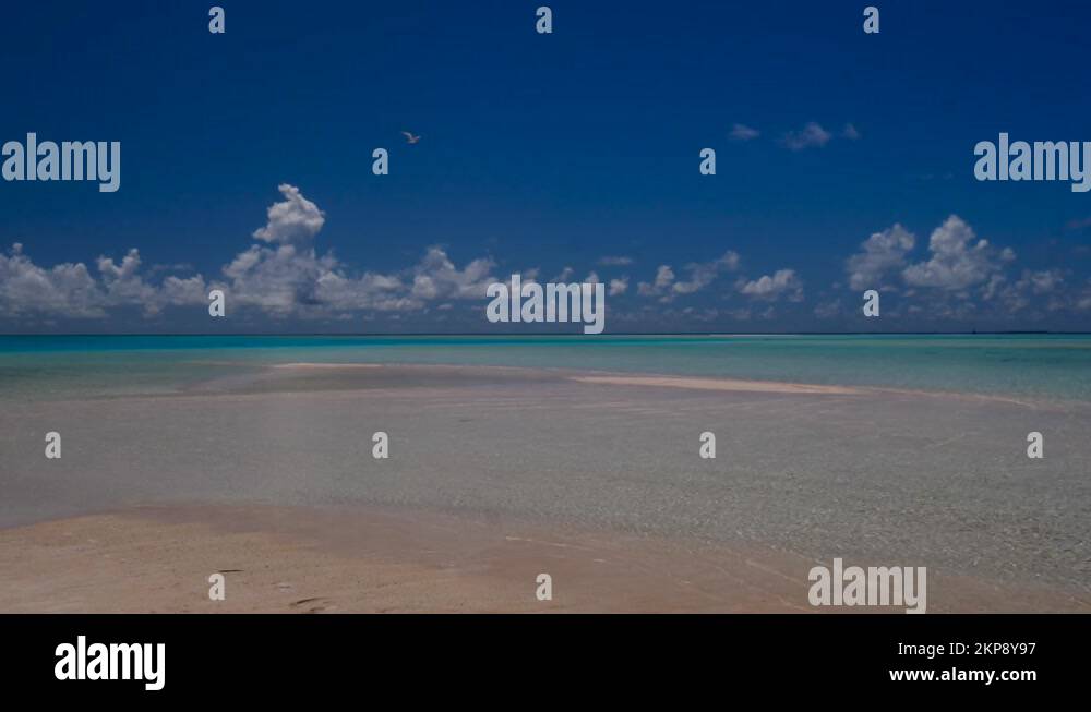 Fakarava beach Stock Videos & Footage - HD and 4K Video Clips - Alamy