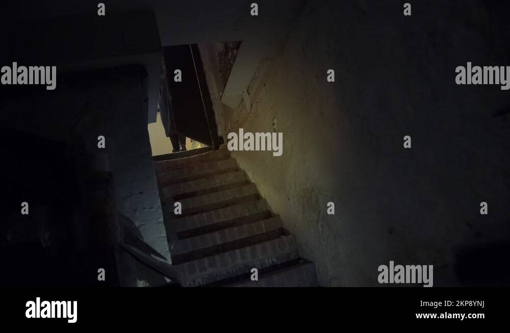 A door opens at the top of some spooky basement stairs with a creepy ...