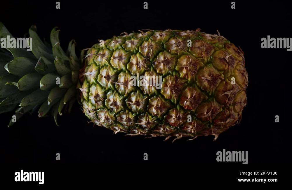 Pineapple cube Stock Videos & Footage - HD and 4K Video Clips - Alamy