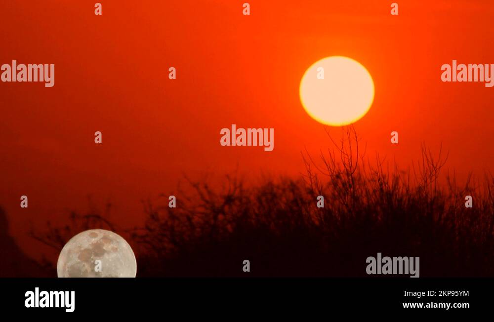 Sunset moonrise Stock Videos & Footage - HD and 4K Video Clips - Alamy