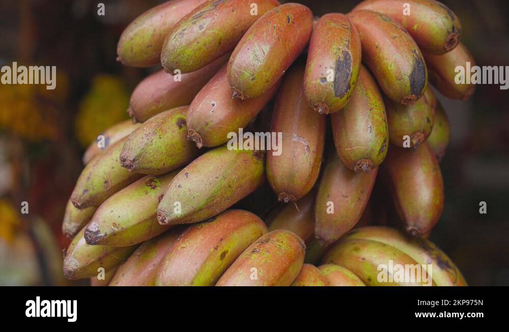 Bananas exotic fruit banana Stock Videos & Footage - HD and 4K Video ...