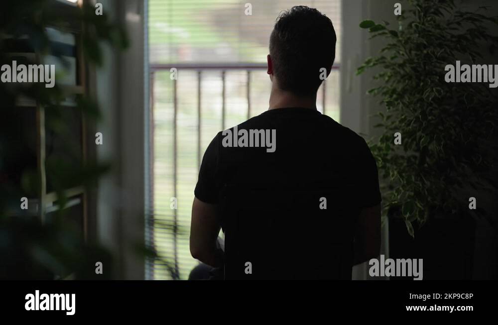 Man back view silhouette chair Stock Videos & Footage - HD and 4K Video ...