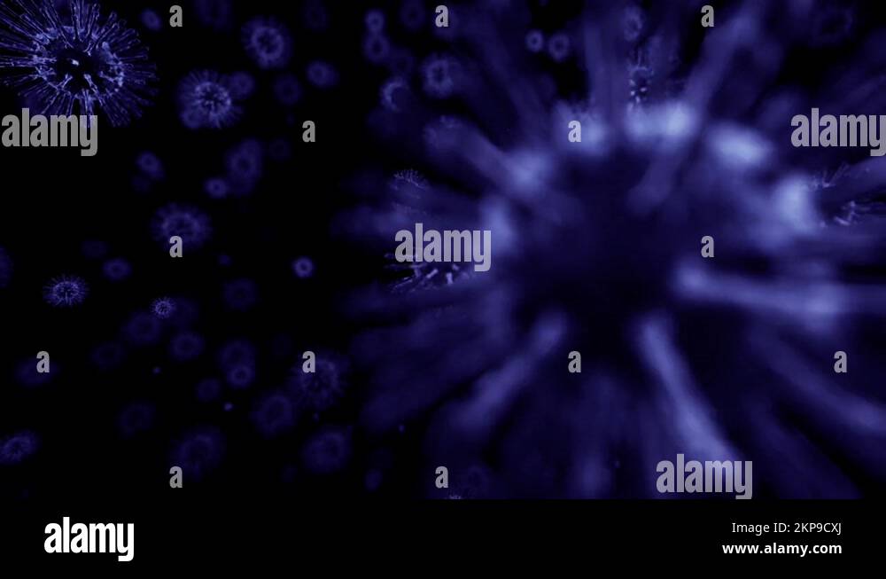 Virus particles Stock Videos & Footage - HD and 4K Video Clips - Alamy
