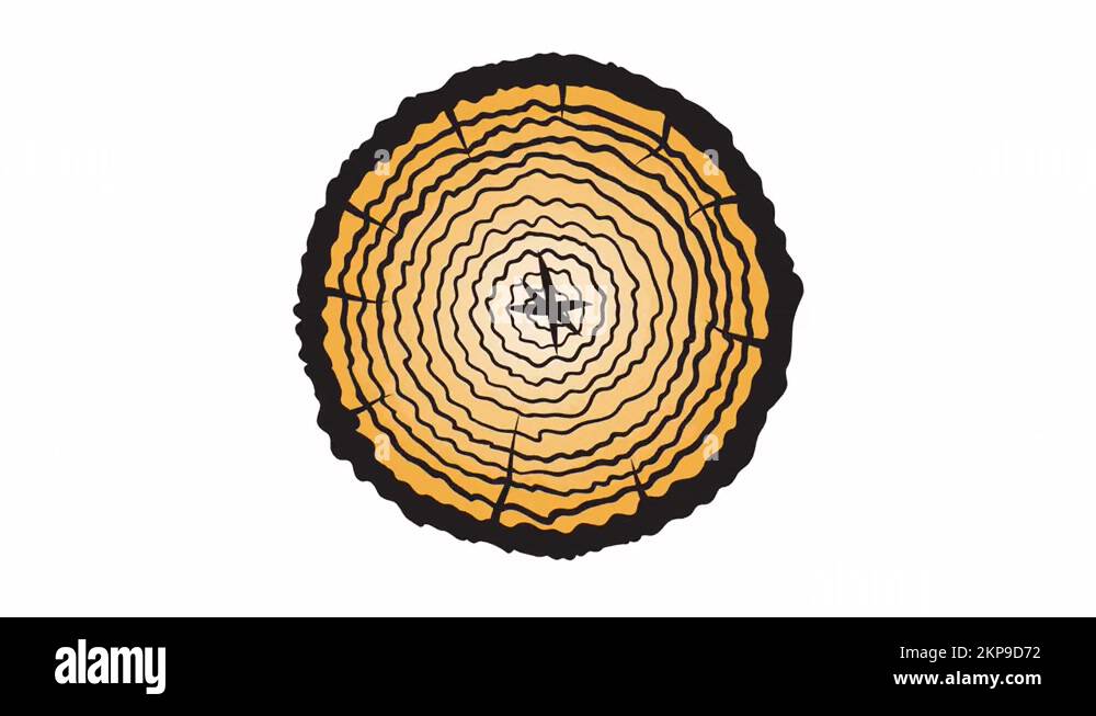 Stump or trunk rotates motion graphic animation. Saw cut of the tree ...