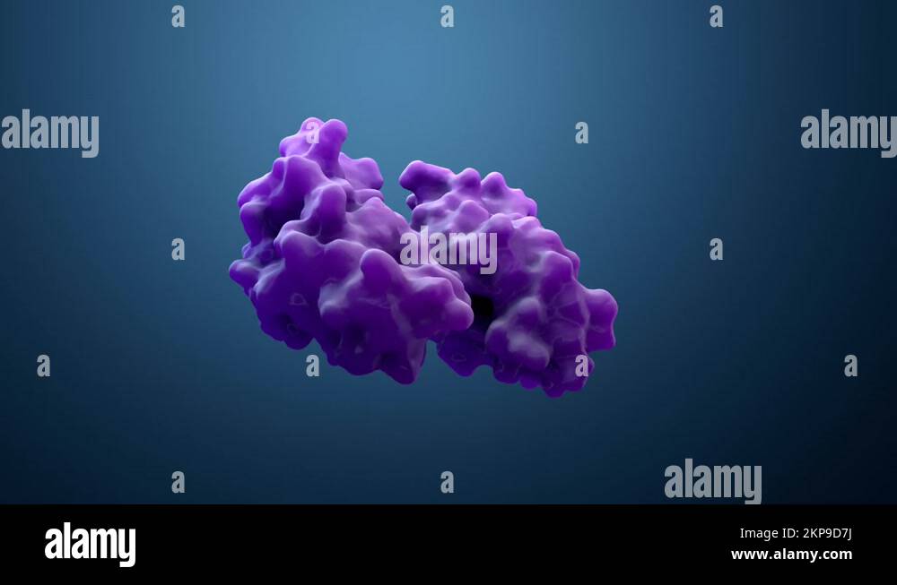 Molecular model this enzyme Stock Videos & Footage - HD and 4K Video ...