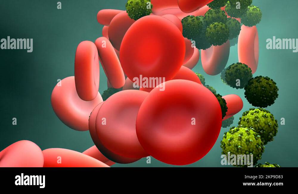 Virus particles and red blood cells, animation Stock Video Footage - Alamy