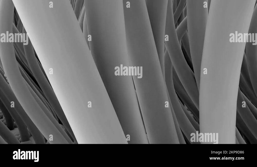 Tissue animation Stock Videos & Footage - HD and 4K Video Clips - Alamy