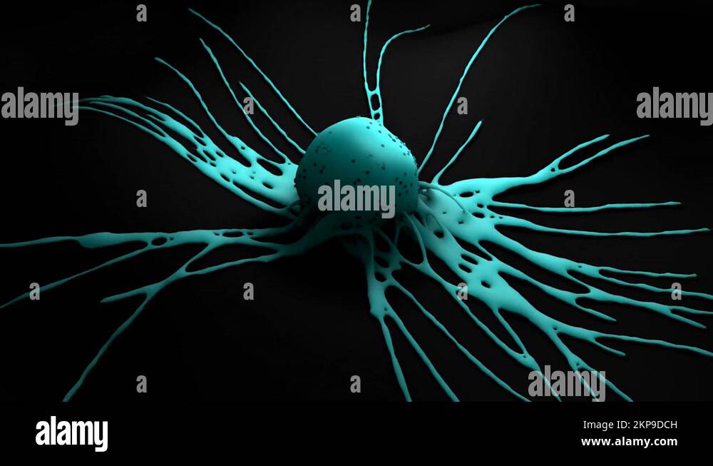 Biological processes Stock Videos & Footage - HD and 4K Video Clips - Alamy