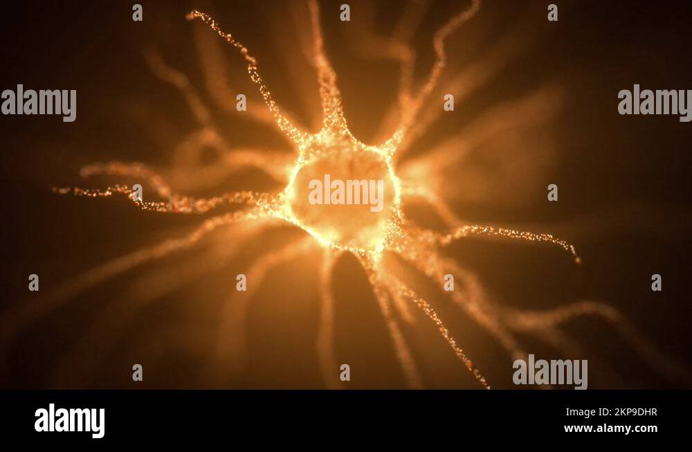 Nerve neuron neurone Stock Videos & Footage - HD and 4K Video Clips - Alamy