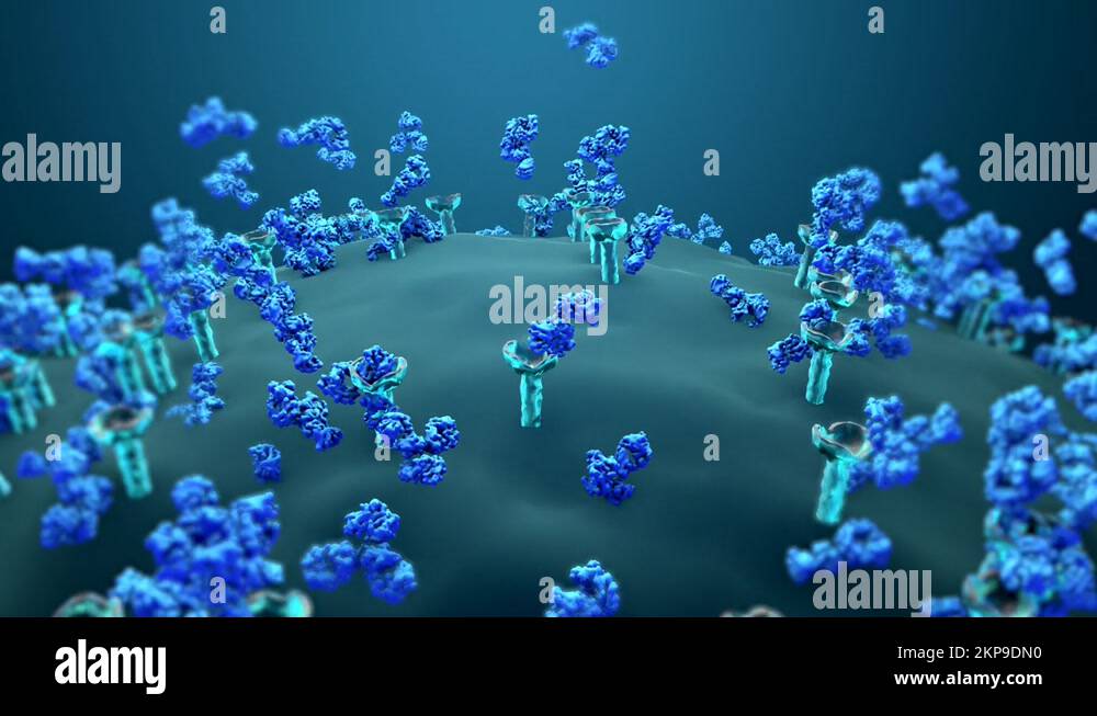 Entry blocked Stock Videos & Footage - HD and 4K Video Clips - Alamy