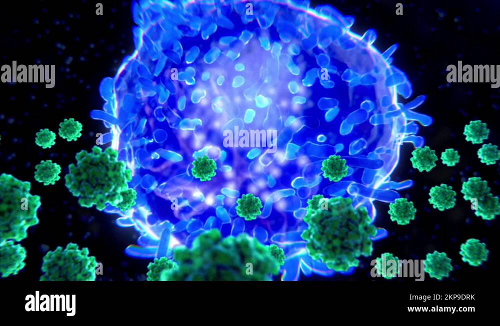 Immune system defense cells attacking a virus Stock Videos & Footage ...