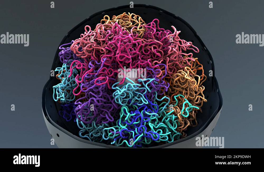 Cell chromatin nucleus Stock Videos & Footage - HD and 4K Video Clips ...