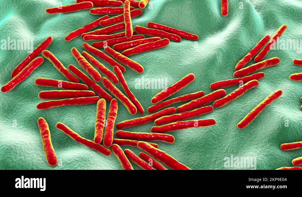 Mycobacteria, animation Stock Video Footage - Alamy