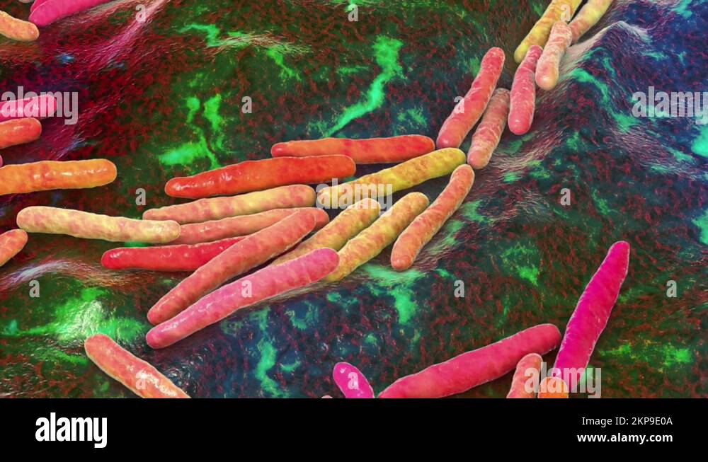 Actinobacteria Stock Videos & Footage - HD and 4K Video Clips - Alamy