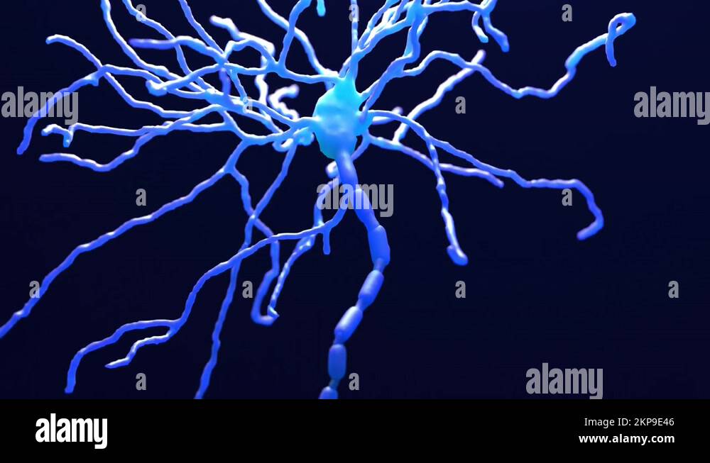 Motor nerve cell Stock Videos & Footage - HD and 4K Video Clips - Alamy