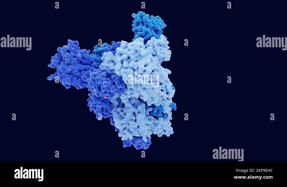 Spike form Stock Videos & Footage - HD and 4K Video Clips - Alamy