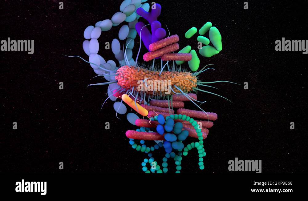 Mixed bacteria Stock Videos & Footage - HD and 4K Video Clips - Alamy
