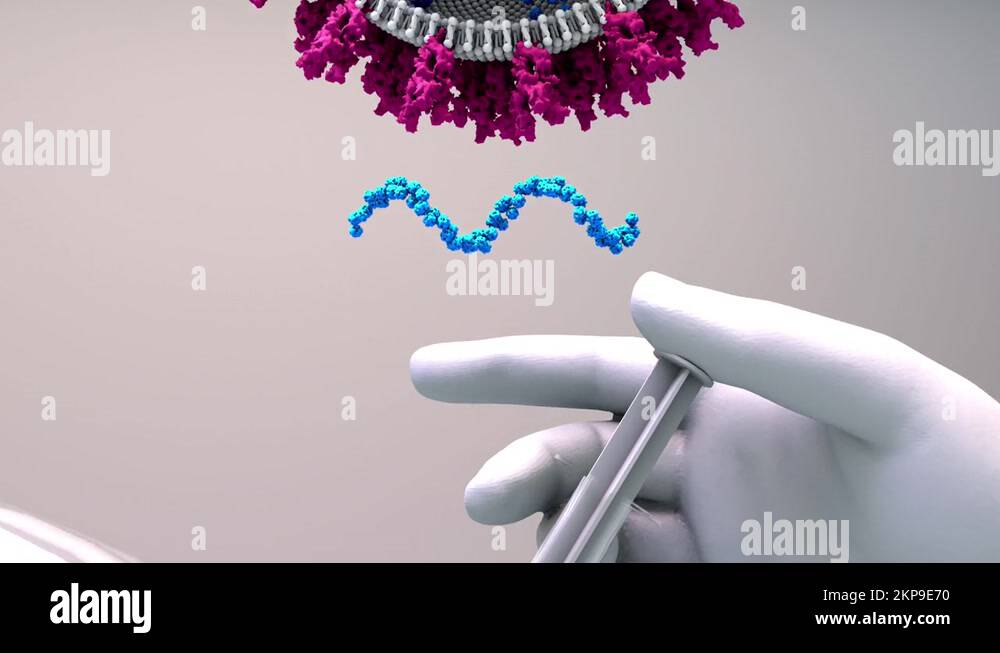 Mrna covid Stock Videos & Footage - HD and 4K Video Clips - Alamy