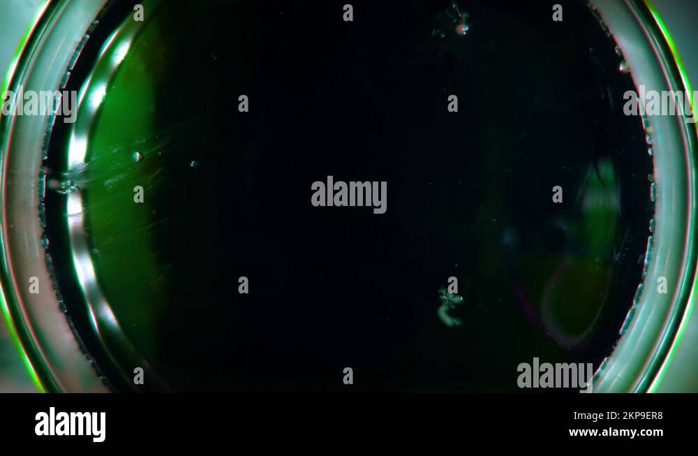 Modified bacteria Stock Videos & Footage - HD and 4K Video Clips - Alamy
