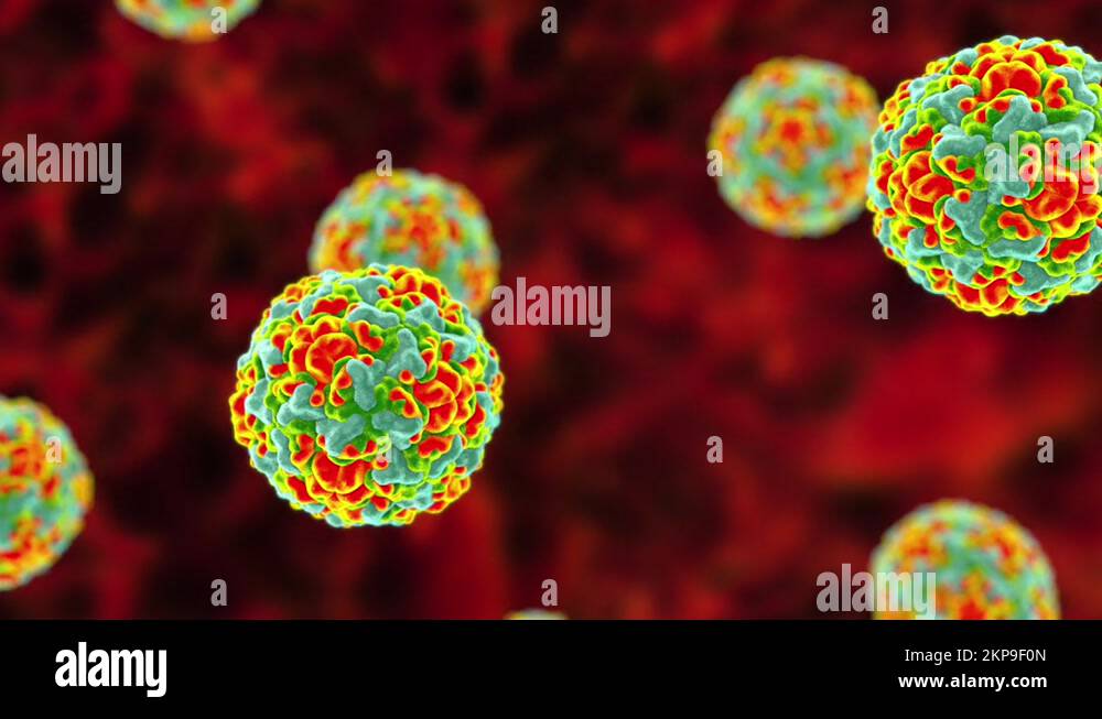 Rhinovirus Stock Videos & Footage - HD and 4K Video Clips - Alamy