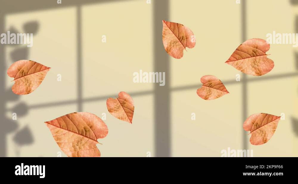 Floating window Stock Videos & Footage - HD and 4K Video Clips - Alamy