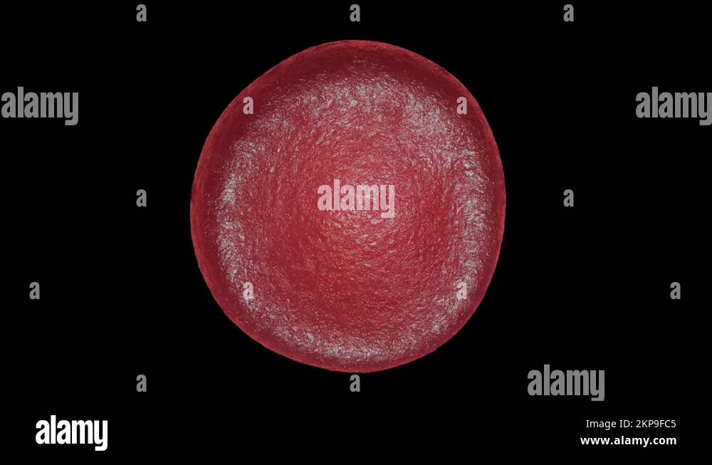 Human cell nucleus normal Stock Videos & Footage - HD and 4K Video ...