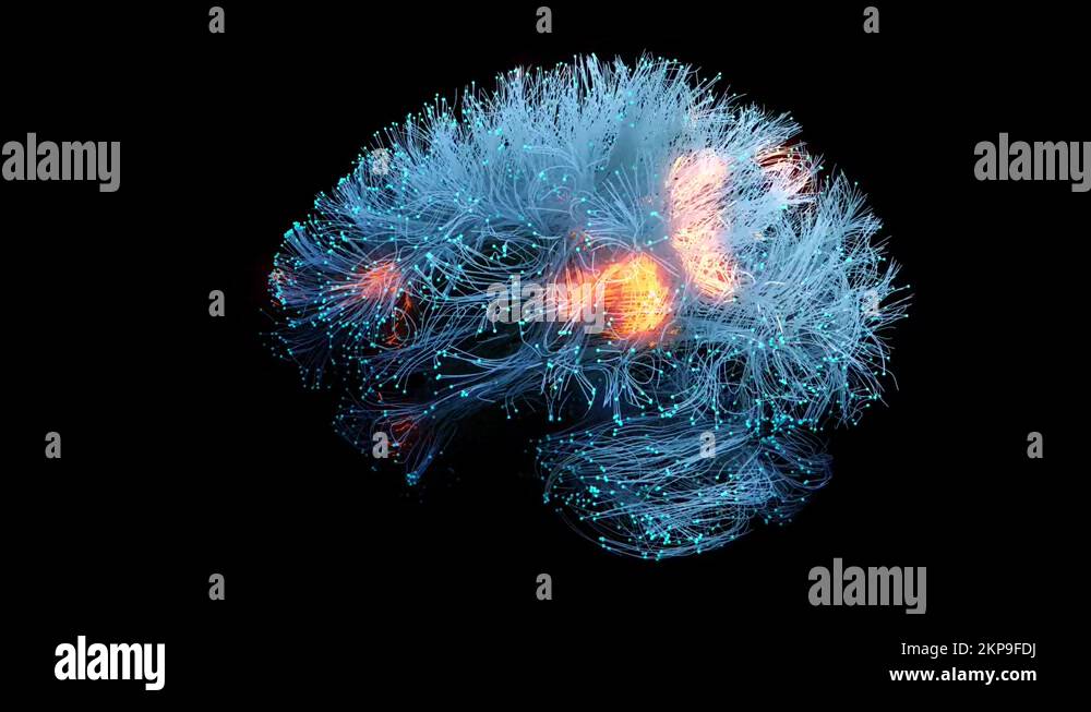 Abnormal brain activity, animation Stock Video Footage - Alamy