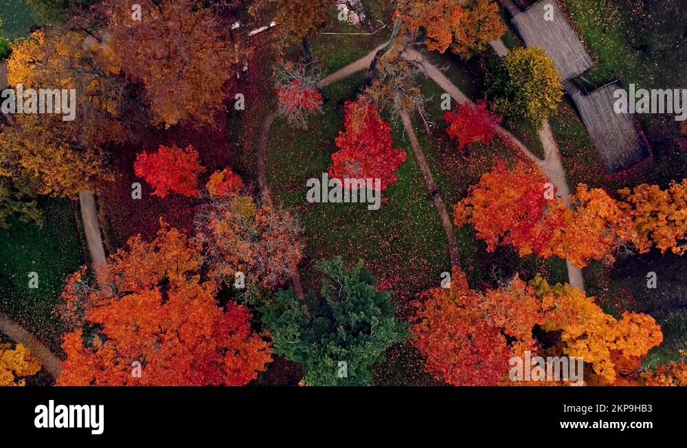 Birds eye view park grass trees Stock Videos & Footage - HD and 4K ...