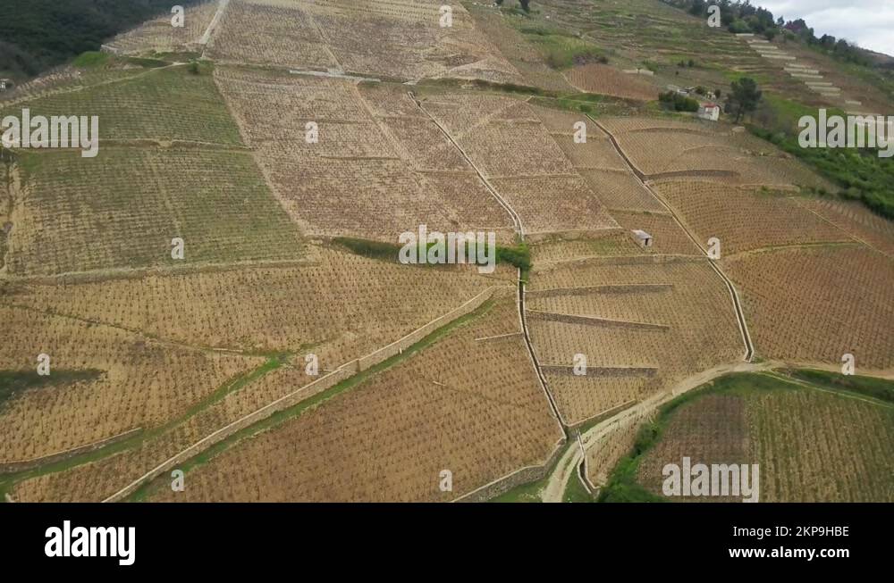 Joseph french Stock Videos & Footage - HD and 4K Video Clips - Alamy