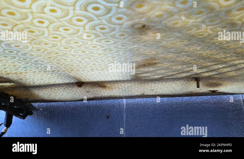 Circular iron Stock Videos & Footage - HD and 4K Video Clips - Alamy