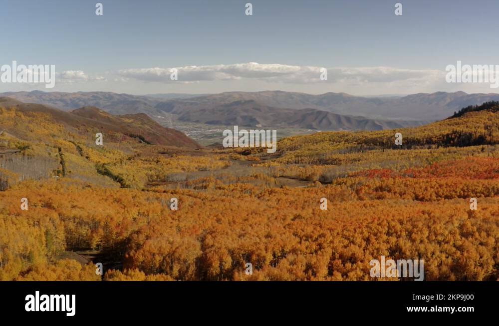 The colorful changing tree colors of Norther Utah. The yellow trees ...
